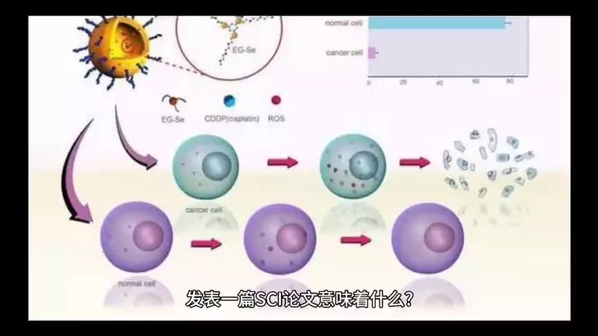 发表一篇sci论文意味着什么? #sci #期刊 #sci论文