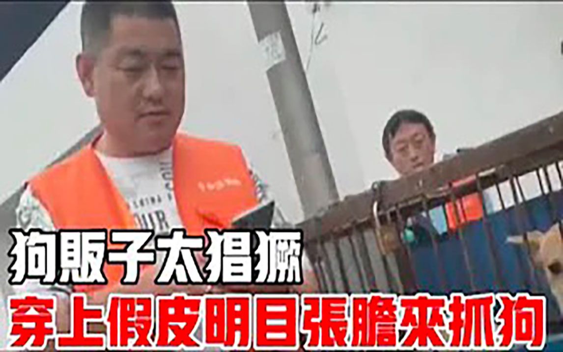 猖狂猖獗的狗贩子,套身假皮光天化日明目张胆的抓狗,自家养的狗狗都...
