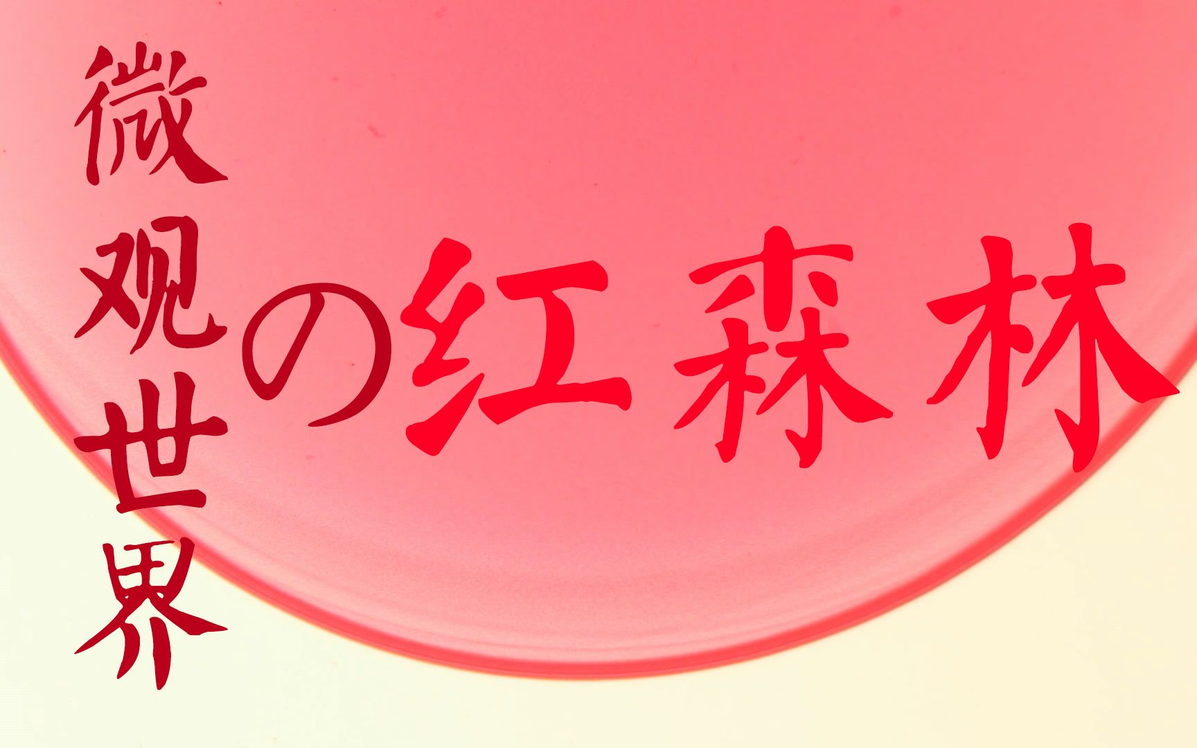 【唯美化学】显微镜下的红森林~氯化铵结晶过程可以有多美?