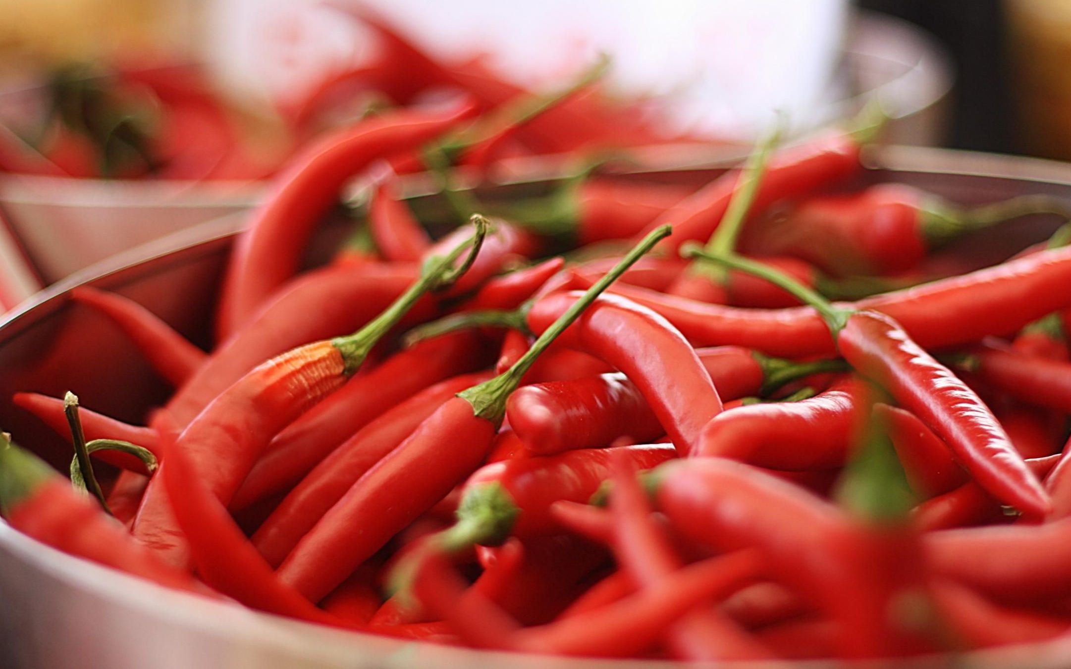 家夜校171 普通露天辣椒栽培技术(六)整枝定植