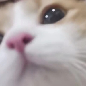 南瓜敏123 