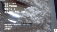 ...标准是什么? 是沉降值。烧失量 Sio2 Cao Fe2o3 长径比 容重 堆积密度
