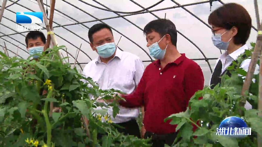 武汉农商行开出了自己的“药方” 帮小微企业抢市场!