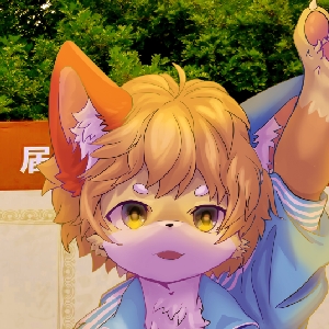吉页DZ 