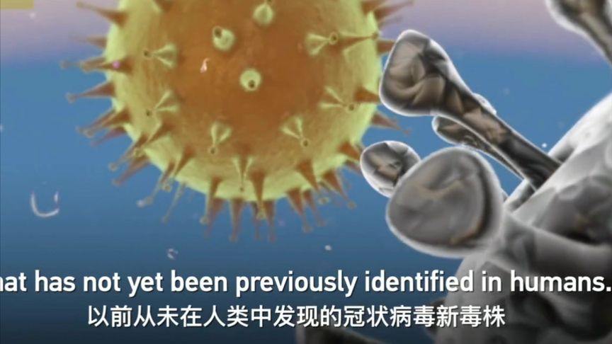什么是新型冠状病毒?被传染后有何症状?如何自我防护?