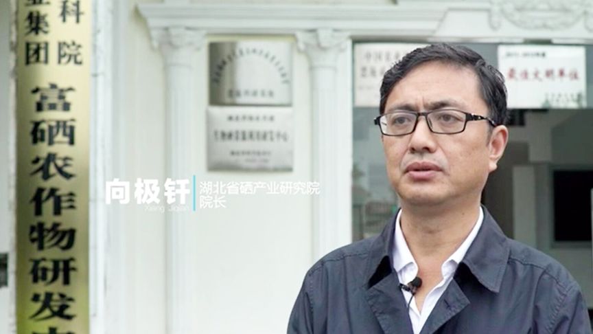 硒与每个人的健康息息相关,很多人却不知道,听听这位专家怎么说