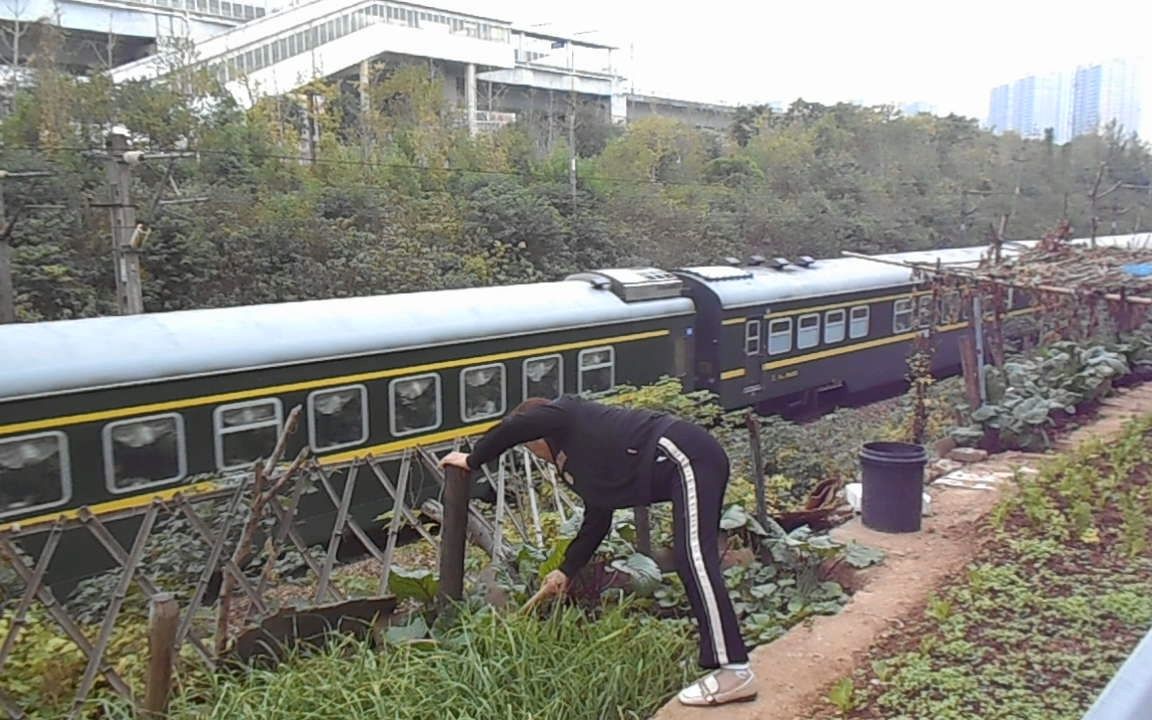 昆明到北京西的列车
