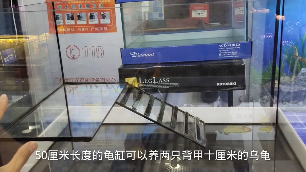 遇到一款不错的龟缸、美观大方,50厘米长度龟缸适合养多少只乌龟