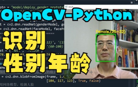 【计算机视觉40例】案例40:识别性别与年龄