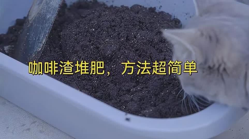 咖啡渣堆肥法心得,有机蔬菜种植都可以试试