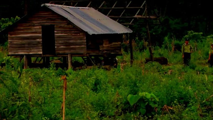 旅游视频:看着成片的咖啡种植园,心里就很感叹真的是很厉害