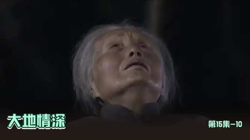 大地情深:慈母临终嘱托,秀儿泪别!