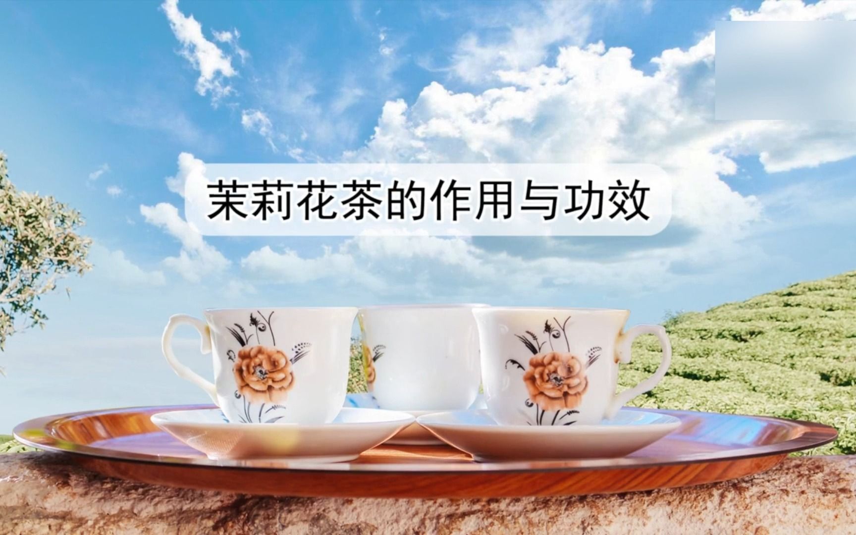 茉莉花茶有哪些作用,茉莉花茶的作用