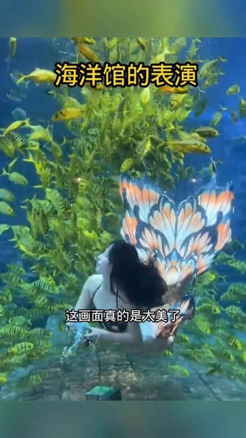 海洋馆里的表 #搞笑配音 #快成长计划