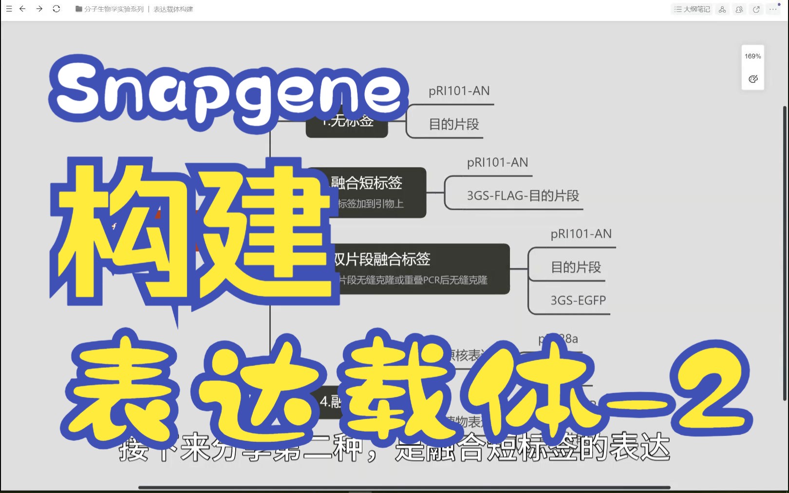 #Snapgene载体构建-2#通过引物添加短标签的融合表达
