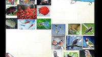 种类繁多的动物 2011年全国小学科学优质课视频展示