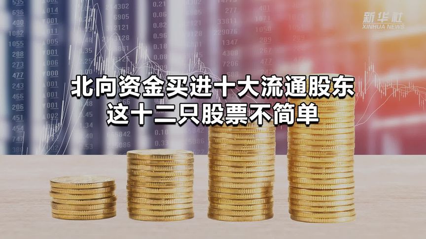 北向资金买进十大流通股东榜 这十二只股票不简单