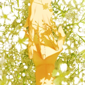 杏绿色GinkgoWM 