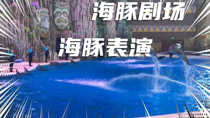 珠海长隆海洋王国 海豚表演厉害的,观众看到哇哇叫!