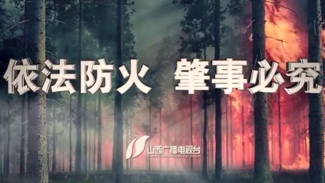 森林防火宣传片:依法防火,肇事必究