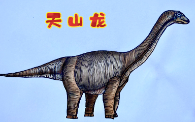 【马克笔】恐龙简笔画,天山龙的简单画法