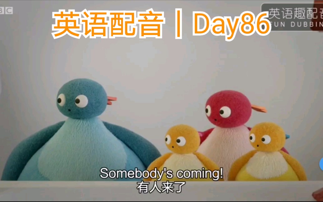 英语配音|D86‖BBC:趣趣知知鸟第一季