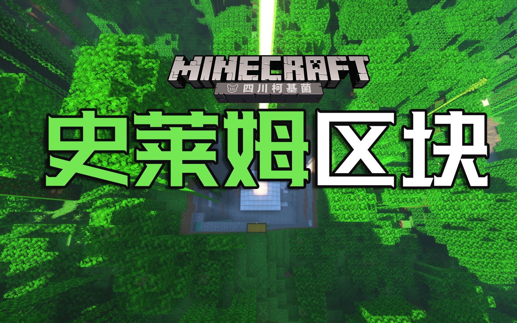 #5 满信号信标!我的世界1.16原版单人困难生存EP5:疣猪塔完工,终于...