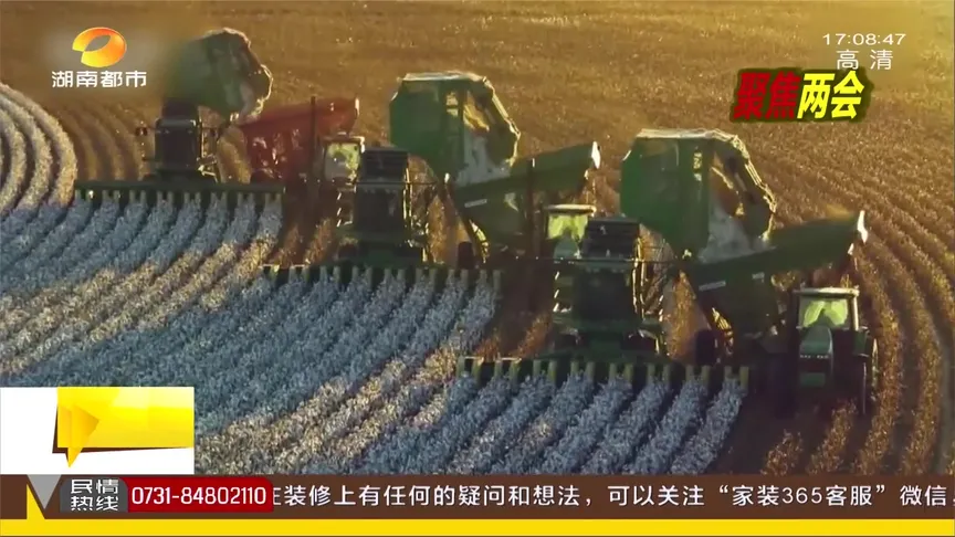 如何实现高质量发展?代表们给出了这些建议!
