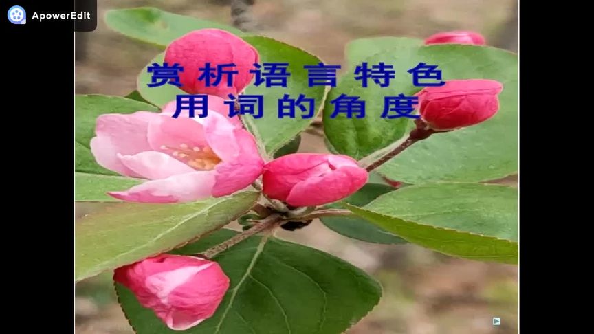 中考考点之赏析文章的语言特色_用词的角度