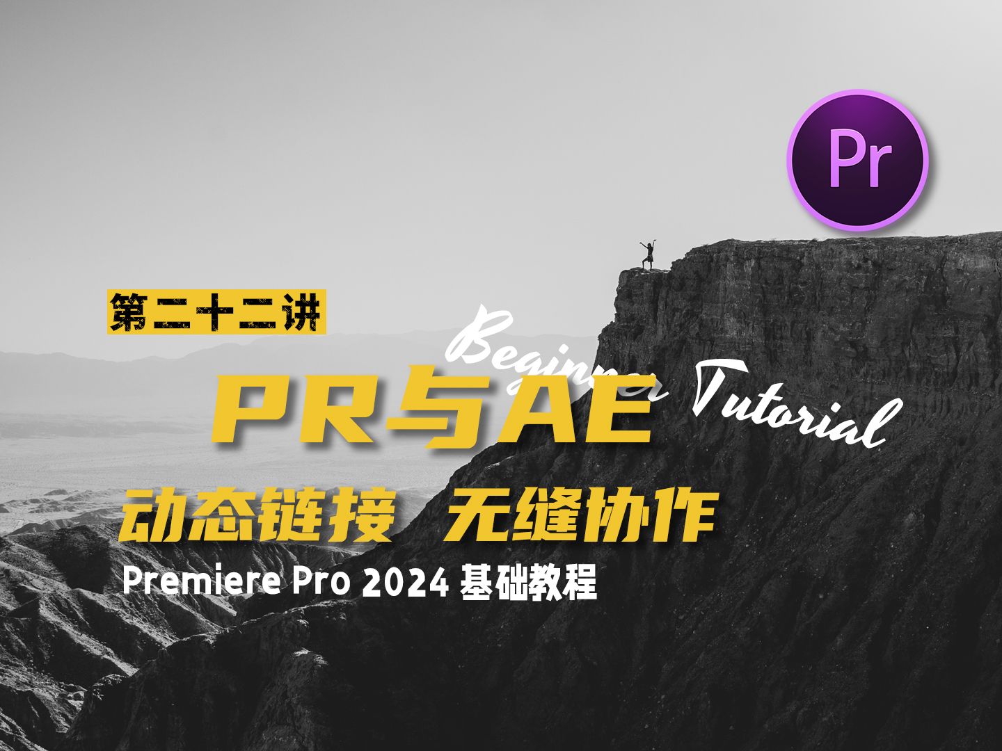 PR与AE动态链接 无缝协作 【PremierePro2024 基础教程】