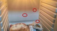 冰箱冷藏室总是结冰怎么办? 只需检查这3处, 让冷藏室再也不结冰