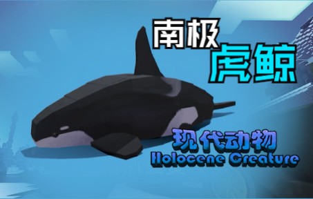 【我的世界中国版】南极虎鲸C型以及南极虎鲸D型 模型+动画展示(...