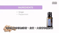 樂活doTERRA DigestZen Essential Oil Blend字幕版_高清