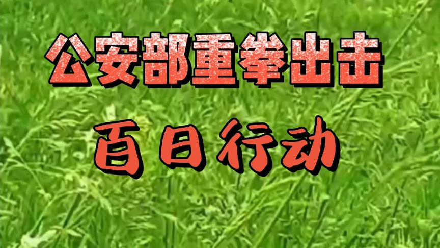 公安部重拳出击《百日行动》