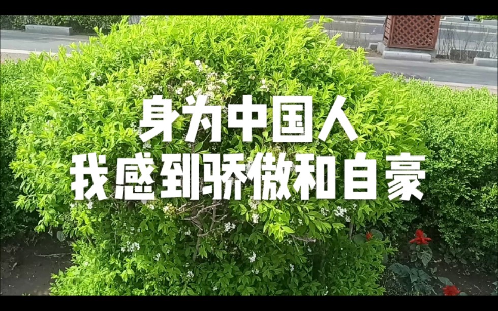 我们真是有福分,安定团结的社会,丰富多彩的生活