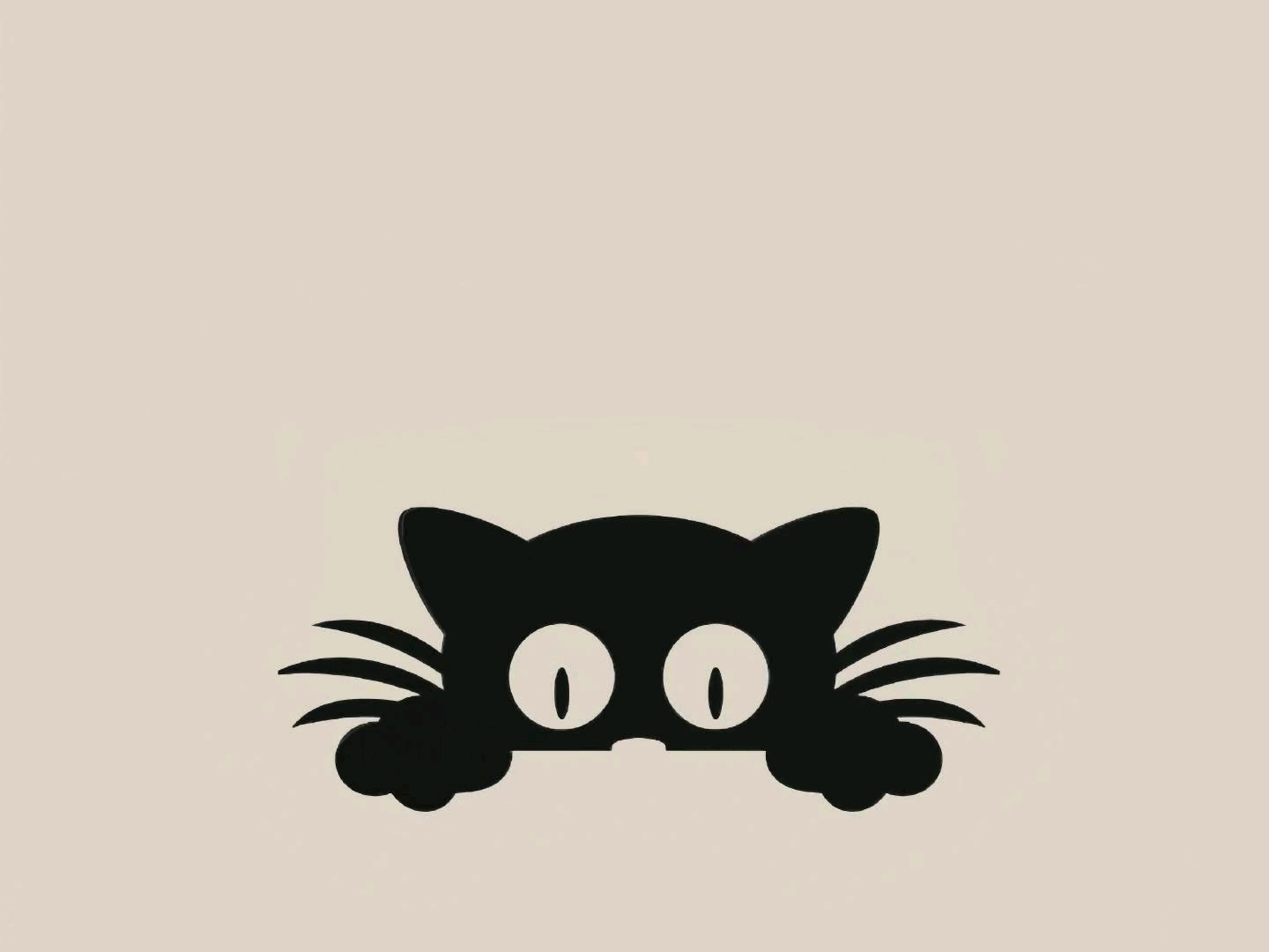 猫咪