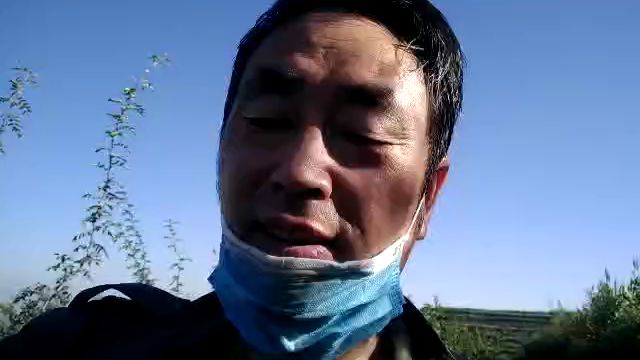 果树有机栽培管理实操技术