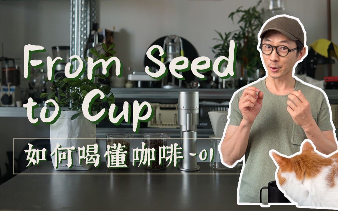 如何喝懂咖啡 第一集 从种子到杯子