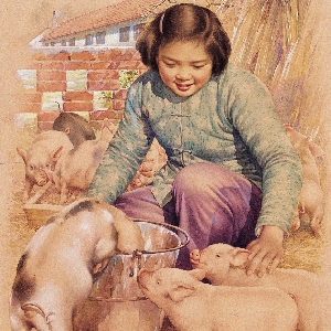 可圈可点15 