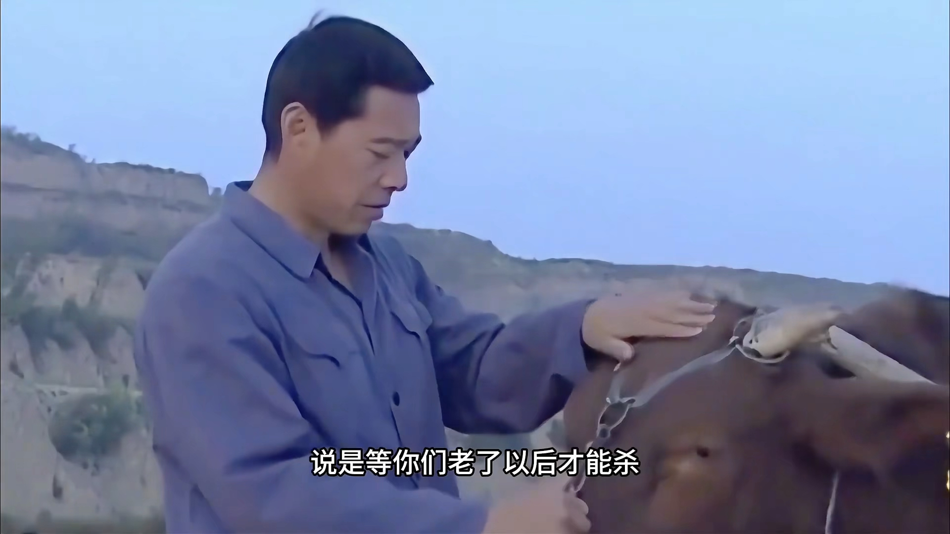 因为一个片段看了整部剧,太好看了