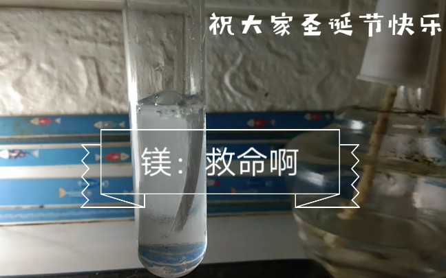 镁与稀盐酸反应(点燃氢气)