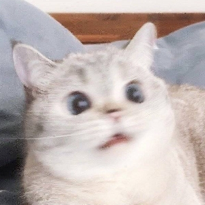 辘轳碌碌漉鹭噜噜 