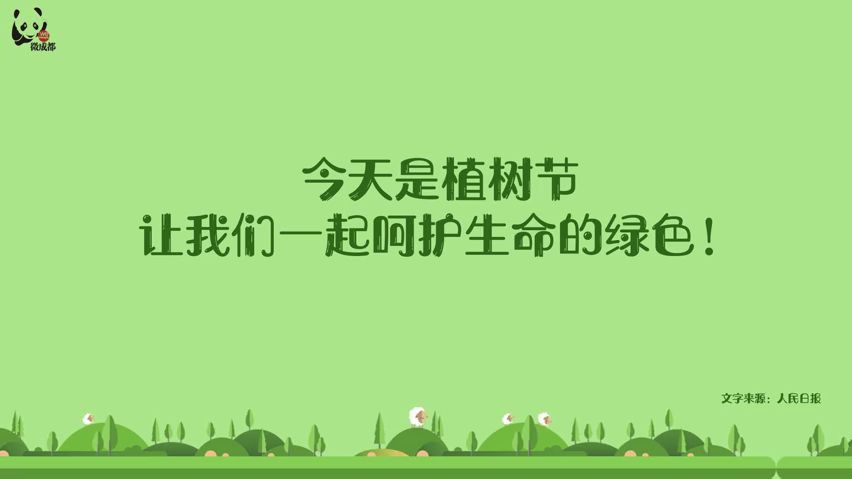 45个数字带你了解一棵树木的价值,让我们共同呵护生命的绿色❤️