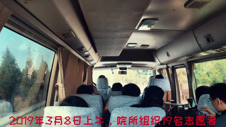 义务植树活动记录