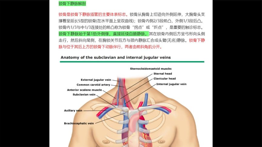 深静脉穿刺-锁骨下静脉置管总结1