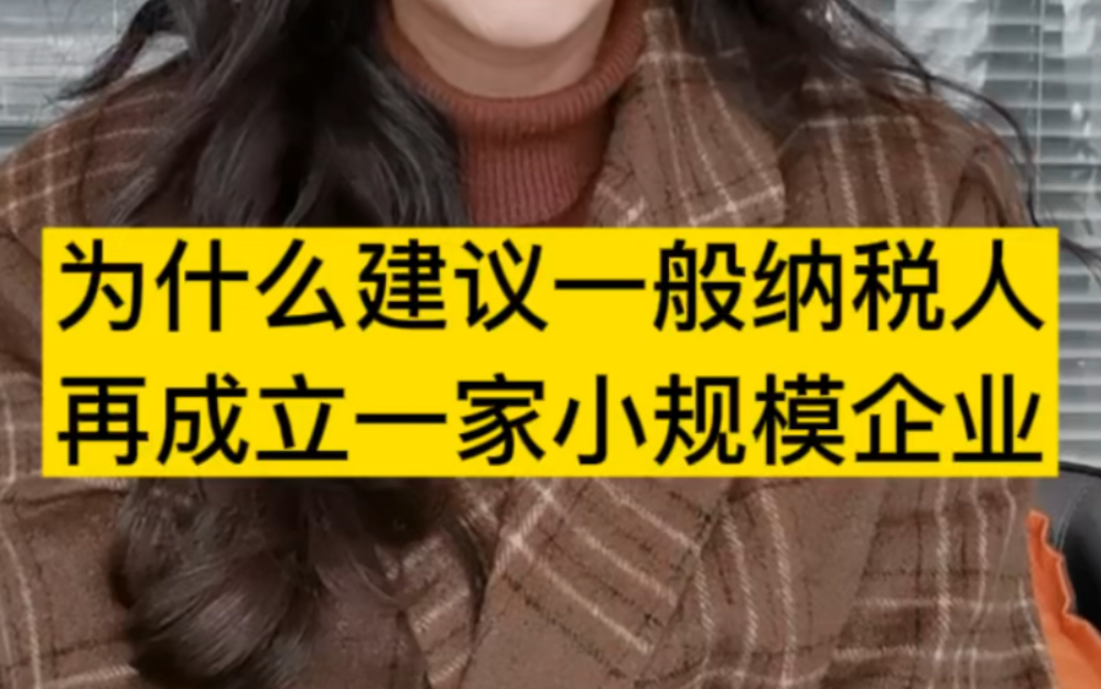 为什么建议一般纳税人,再成立一家小规模企业。