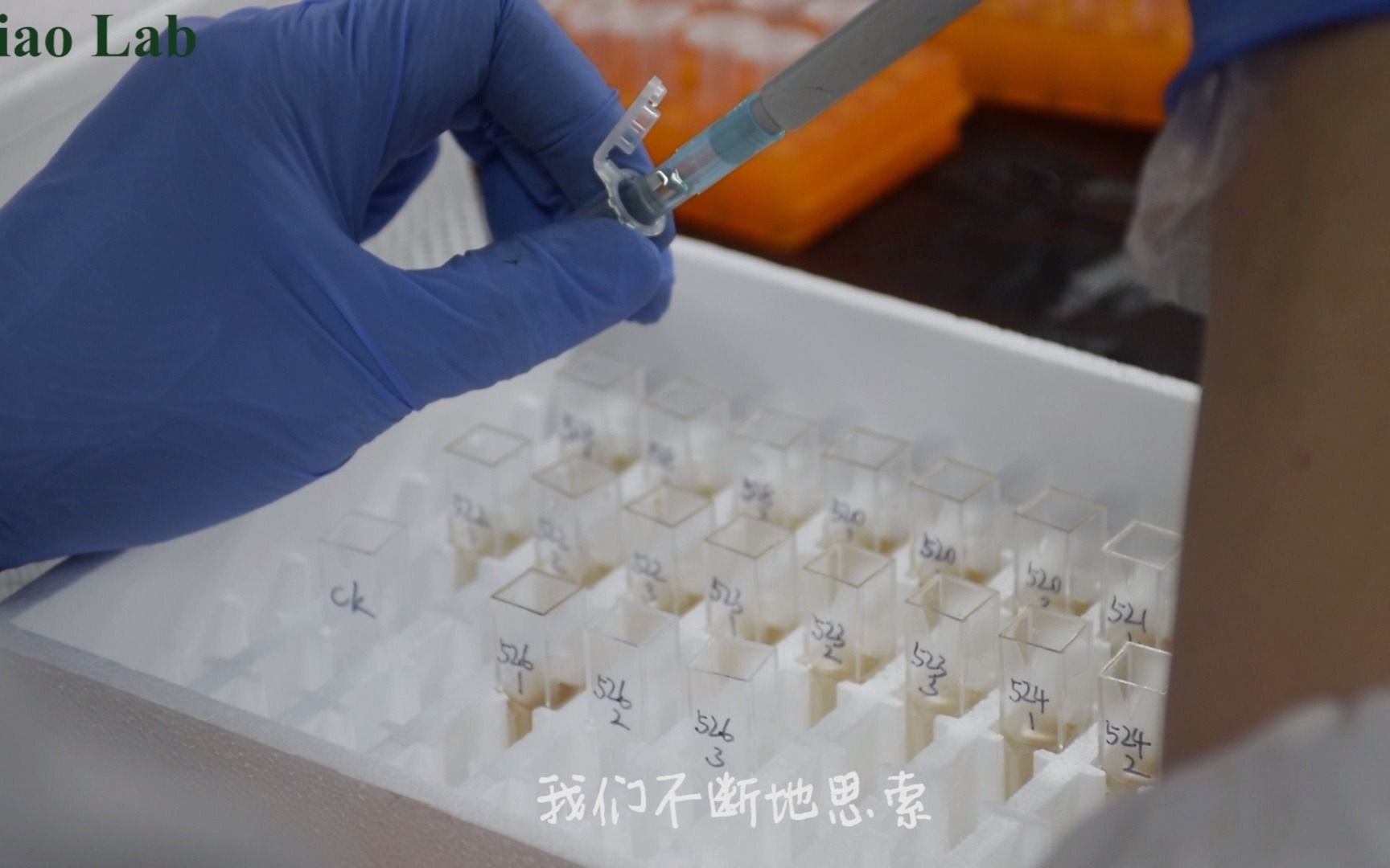 肖朝文课题组-植物细胞壁合成代谢与生物质能实验室介绍