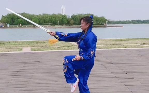【武术运动】初级剑术适合初学者规整持剑架势背面演示完整版