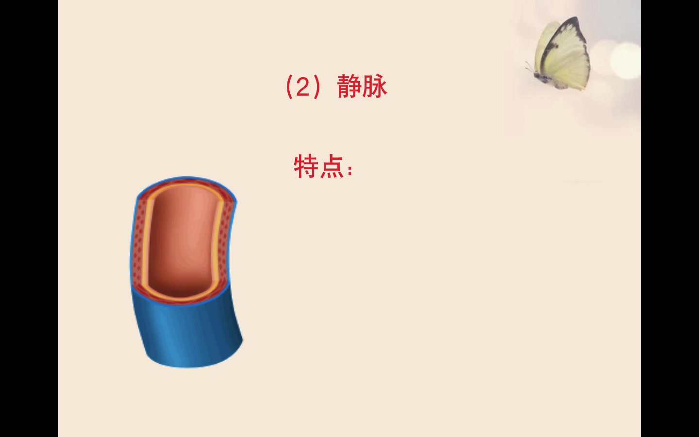 苏教版生物七年级下册10.2《人体的血液循环》