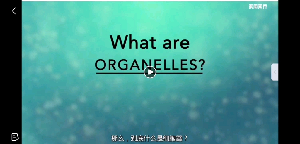 高中生物必修一 细胞器的介绍